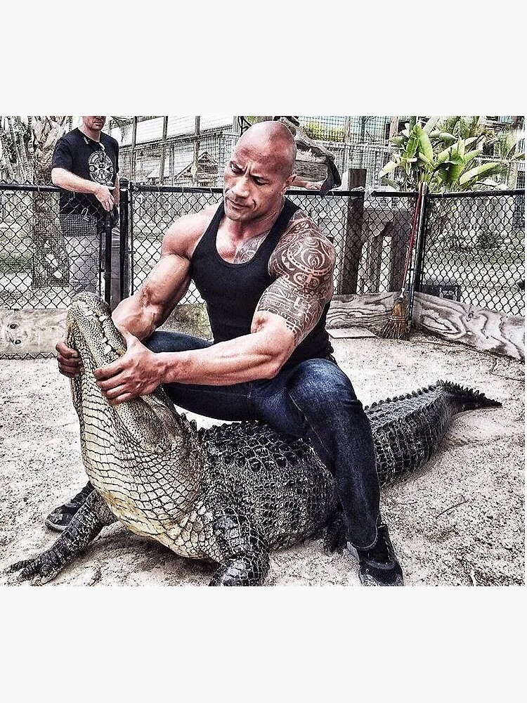 "The Rock Alligator Wrestling" Sticker for Sale by saige161iq | Redbubble