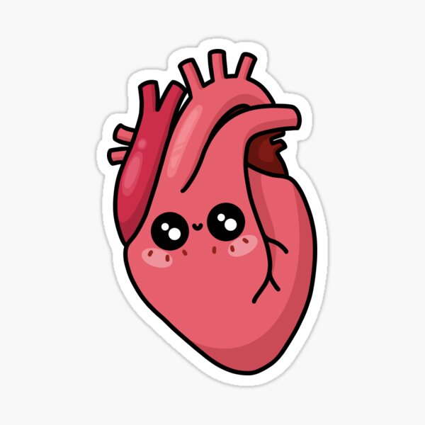 "Cute Heart - Biology" Sticker for Sale by BundaBear | Redbubble
