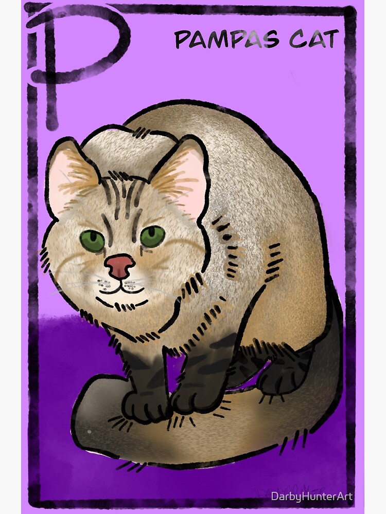 "P is for pampas cat | pampa | wildcat " Sticker for Sale by ...