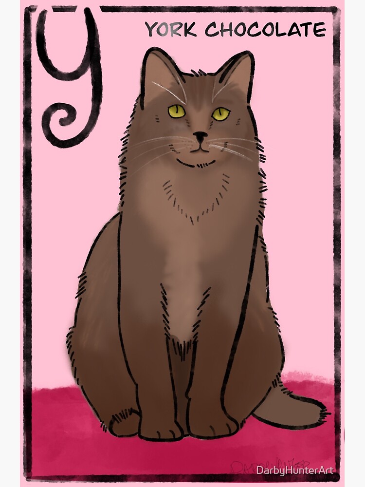 "Y is for York chocolate | York cat " Sticker for Sale by ...