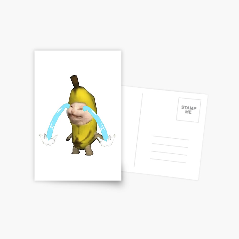 "Crying banana cat" Sticker for Sale by NikolaandAnchy | Redbubble