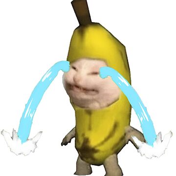 "Crying banana cat" Sticker for Sale by NikolaandAnchy | Redbubble