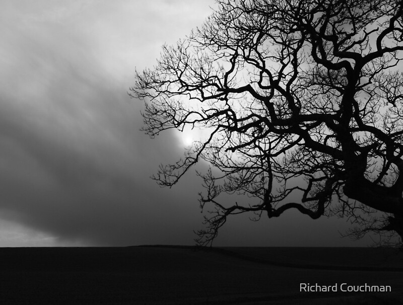 "" In The Arms Of Morpheous "" by Richard Couchman | Redbubble