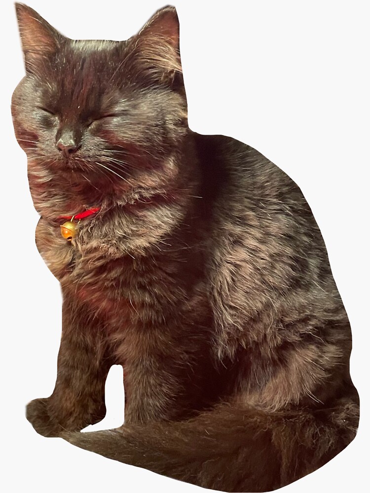 "Cute Cat Meme" Sticker by CozyHobbyCorner | Redbubble