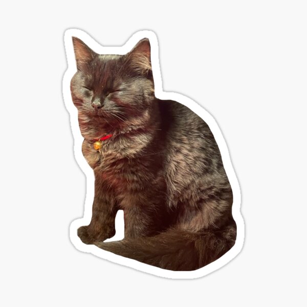 "Cute Cat Meme" Sticker by CozyHobbyCorner | Redbubble