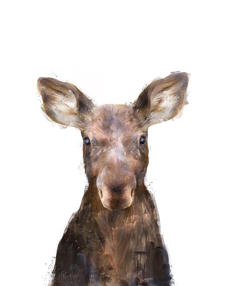 "Little Moose" by Amy Hamilton | Redbubble