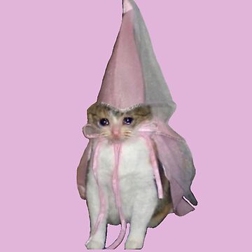 "princess crying kitty cat meme" Sticker for Sale by bronte2004 | Redbubble