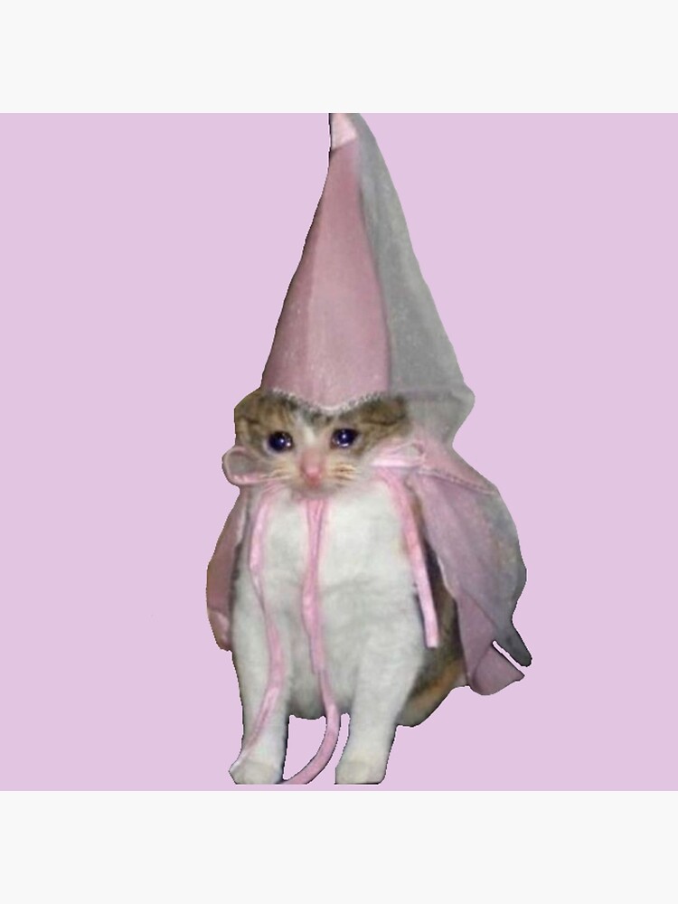 Pink Cat Memes