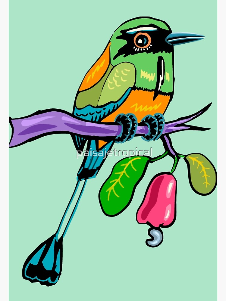 "A very beautiful colorful torogoz bird" Poster by paisajetropical ...