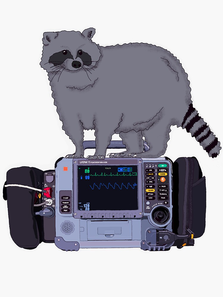 "Raccoon Responder" Sticker for Sale by hanna-gross | Redbubble
