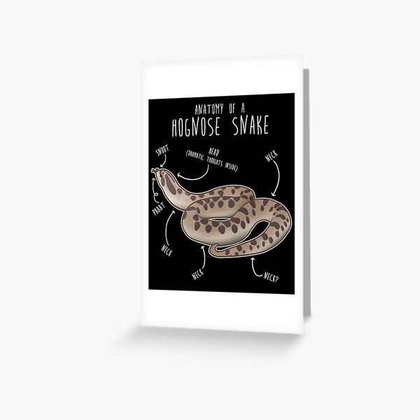 "Conda Hognose Snake Anatomy Anaconda" Greeting Card for Sale by Clara ...