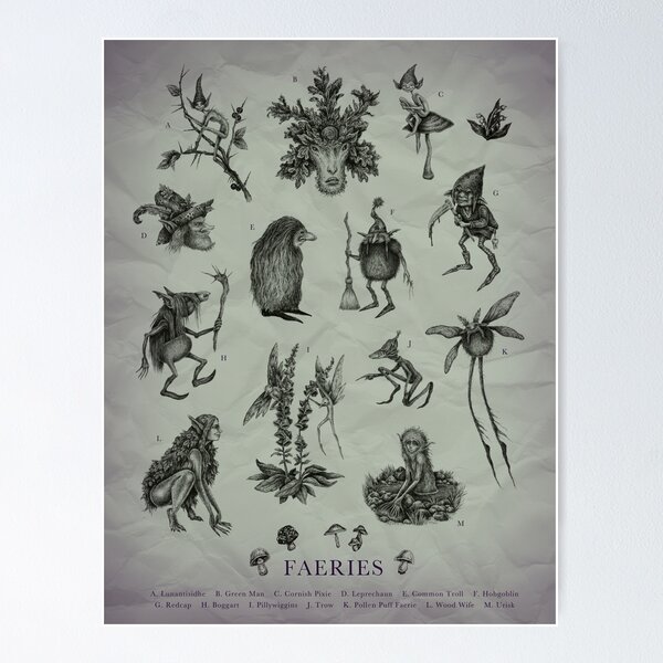 "Types of Faeries" Poster for Sale by brettisagirl | Redbubble