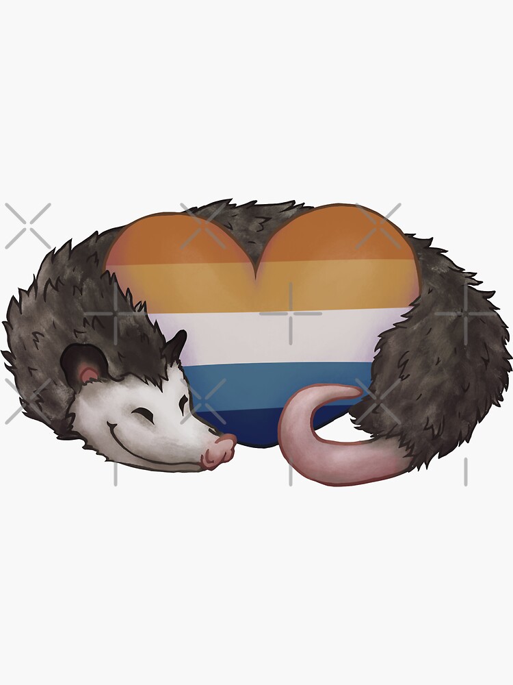 "Heart Opossum Aro-Ace Flag" Sticker for Sale by ochrecrow | Redbubble
