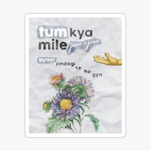 "Tum Kya Mile Jaane Jaan" Sticker for Sale by hrekh | Redbubble