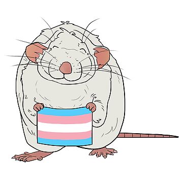 "White Rat Holding Trangender Pride Flag" Sticker for Sale by ...