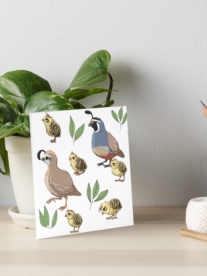 Quail Family Art