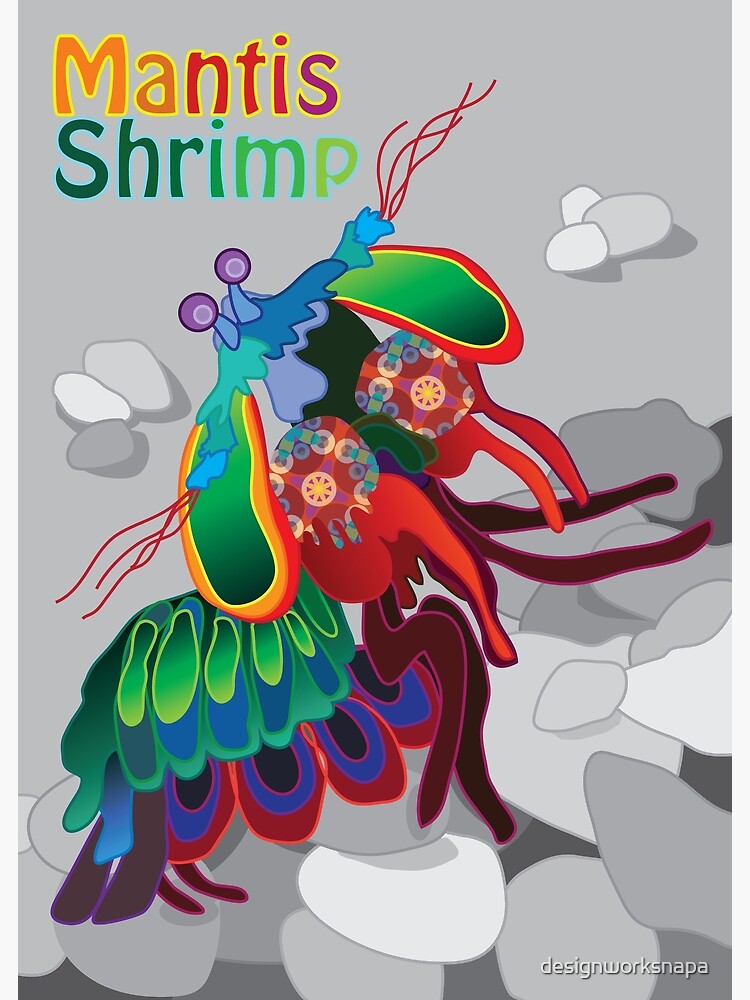 "Mighty Mantis Shrimp" Framed Art Print for Sale by designworksnapa ...