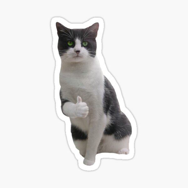 "thumbs up cat" Sticker for Sale by franktact | Redbubble