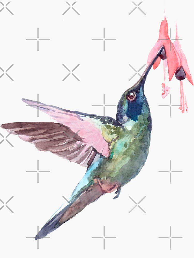 "Colibri" Sticker for Sale by RNIArt | Redbubble