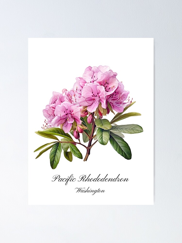 "Washington State Flower-Pacific Rhododendron" Poster for Sale by ...