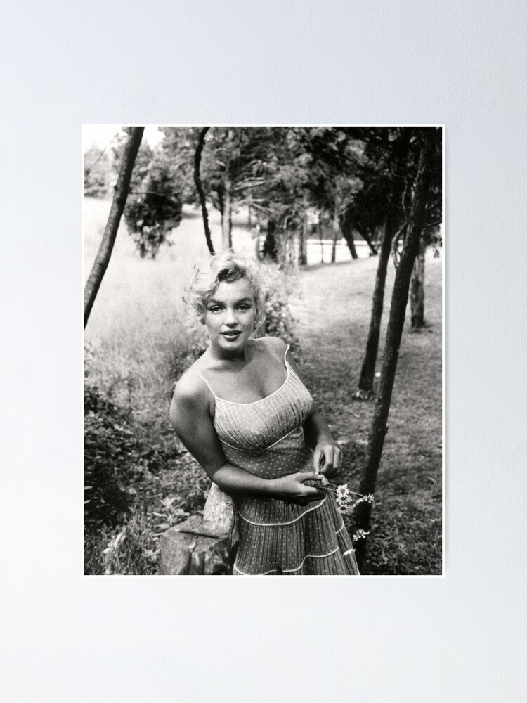 "Vintage Girl" Poster for Sale by GerdaZboncak | Redbubble