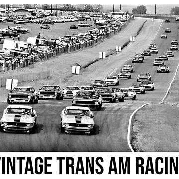 "VINTAGE TRANS AM RACING art" Sticker for Sale by Barry Scott Young ...
