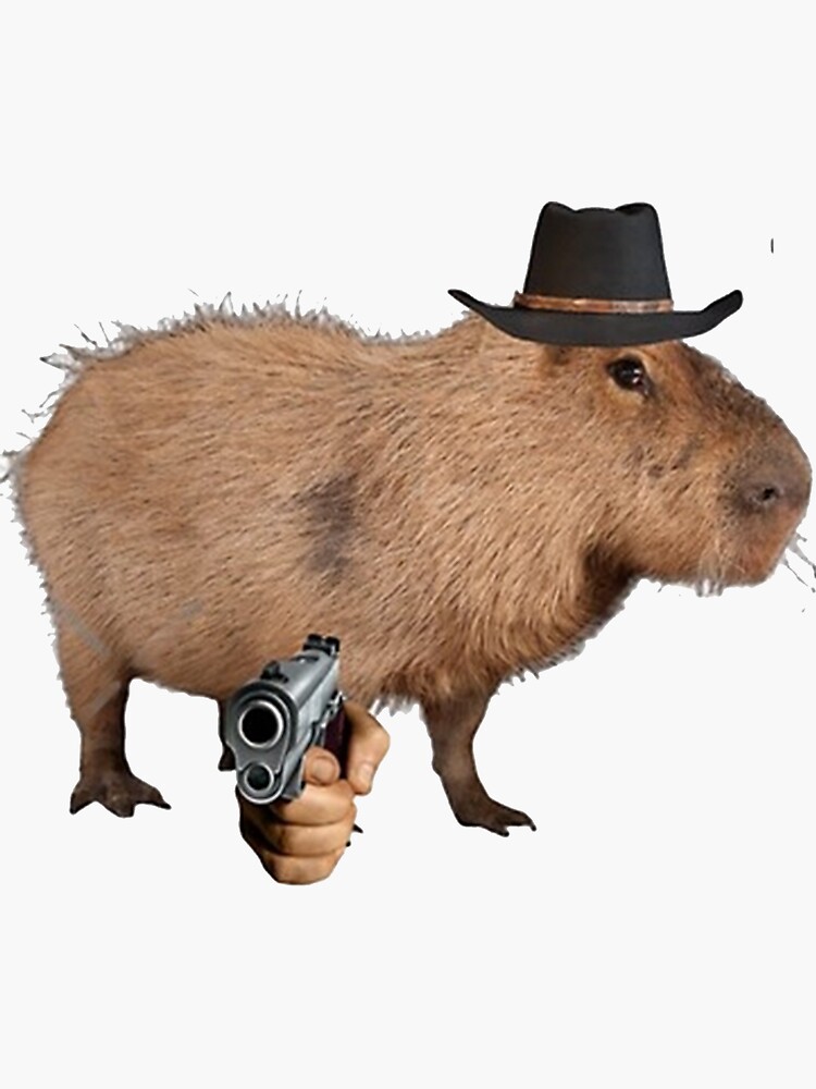 "Cowboy Capybara ,carpincho, capy sitting, capybara cute capybara ...