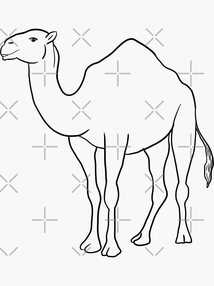 "Stick figure camel - Welshdesigns" Sticker for Sale by welshdesigns ...