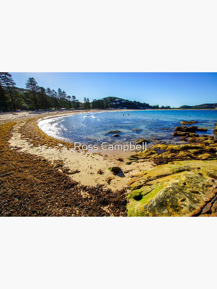 "Palm Beach, Sydney, NSW, Australia" Sticker for Sale by Ross Campbell ...
