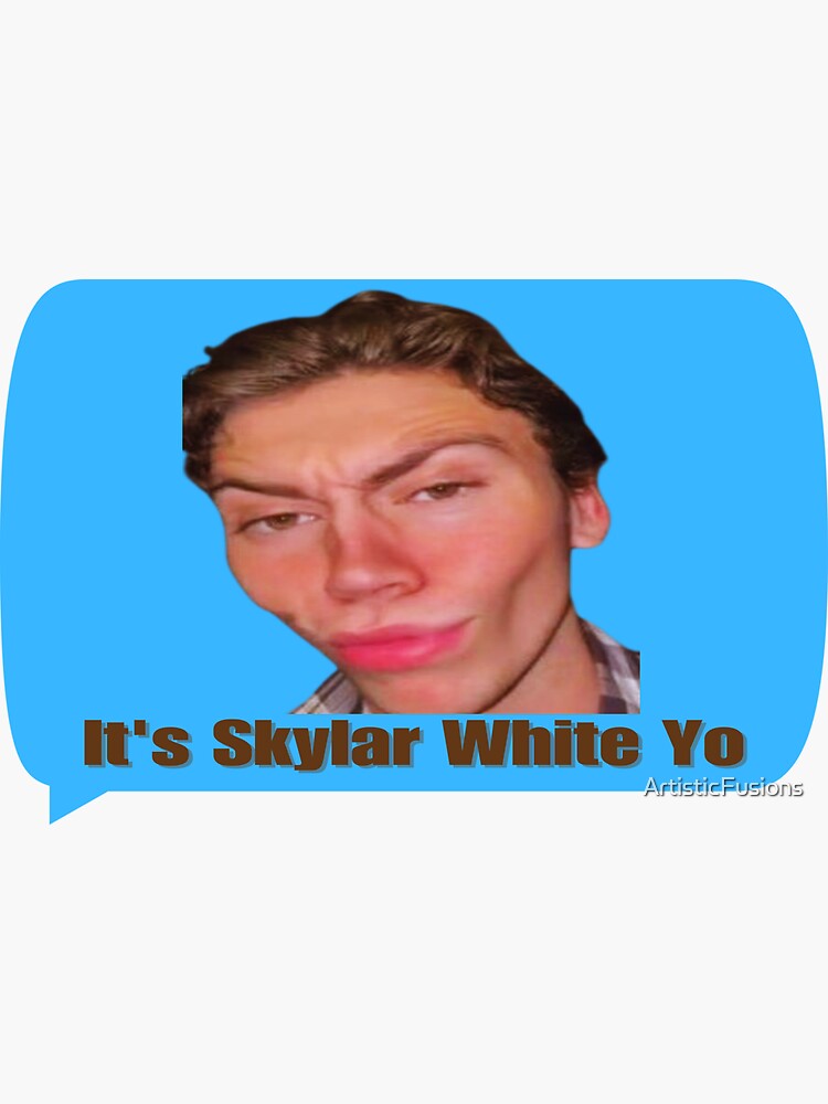 Breaking Bad Memes Skyler