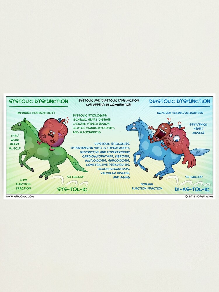"Systolic vs. Diastolic Heart Failure" Photographic Print for Sale by ...