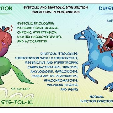 "Systolic vs. Diastolic Heart Failure" Photographic Print for Sale by ...