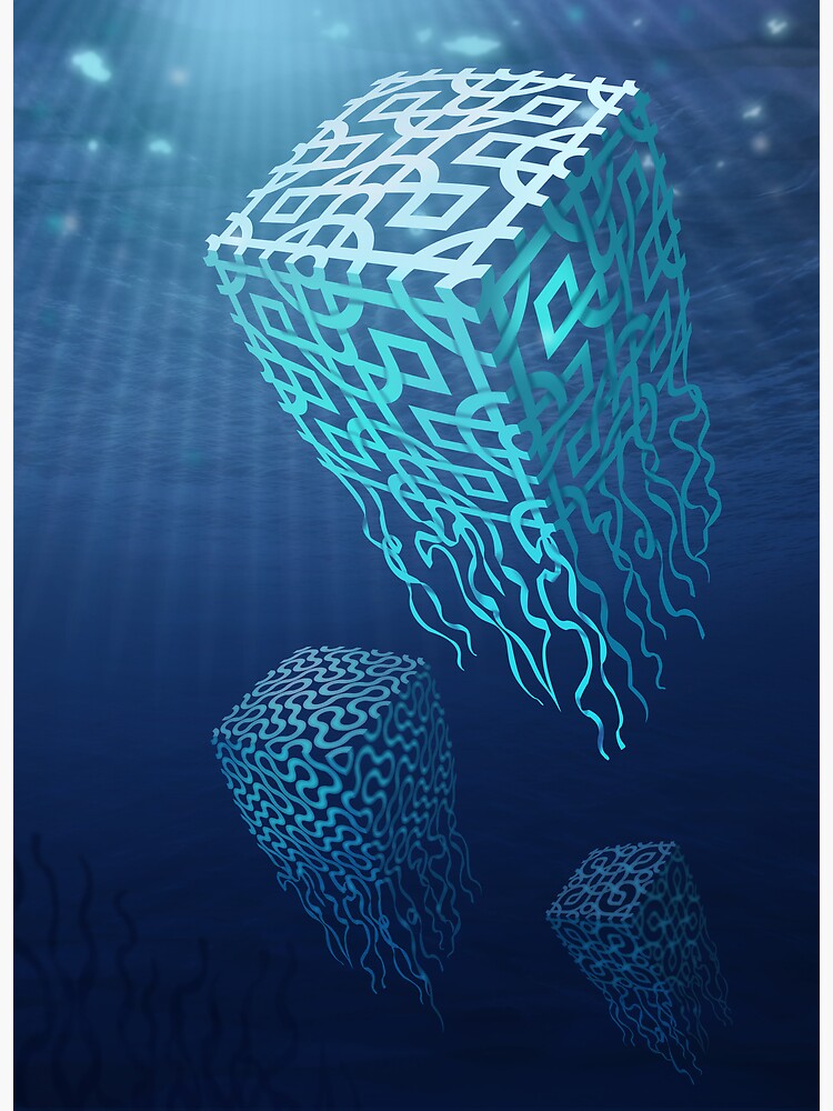 "Box Jellyfish" Photographic Print for Sale by fischer | Redbubble