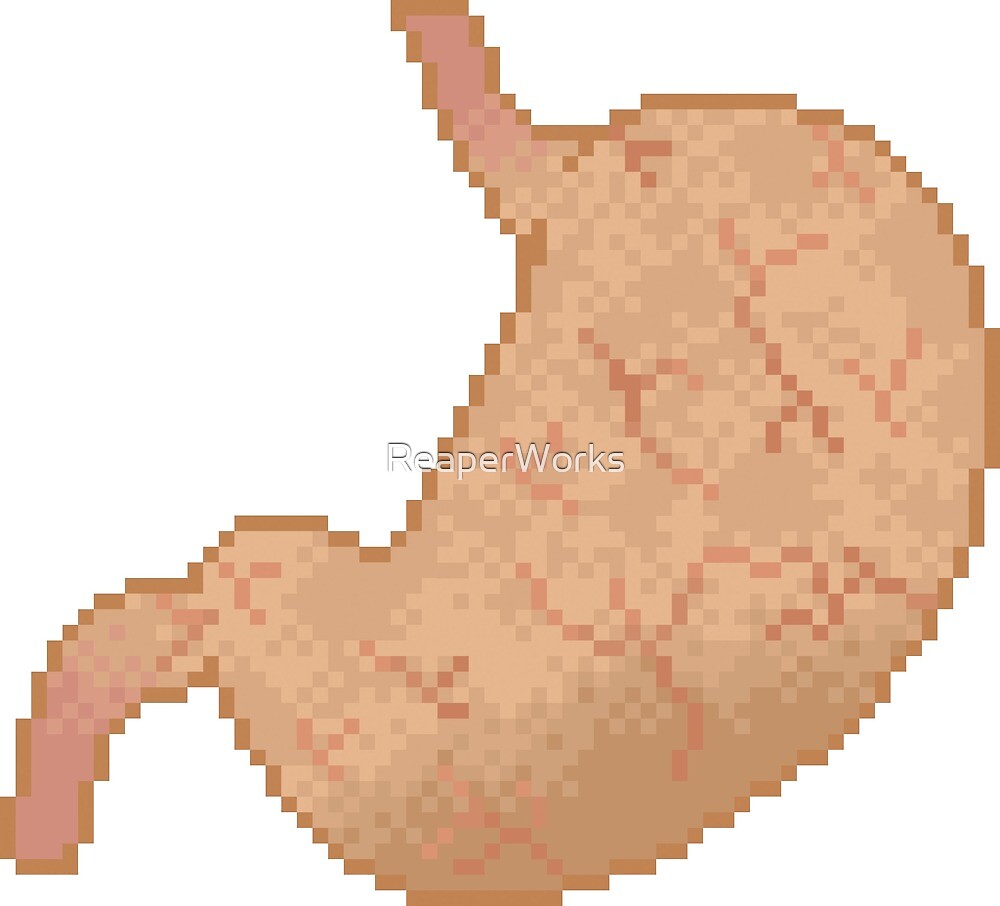 "Pixel Stomach" by ReaperWorks | Redbubble