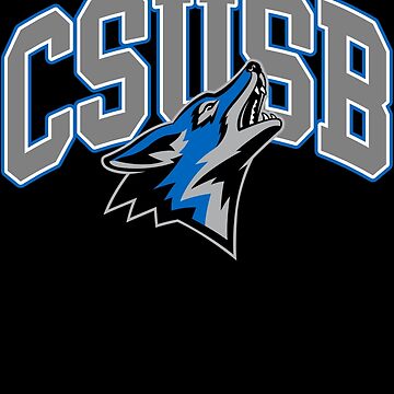 "California state university san bernardino, cal state san bernardino ...