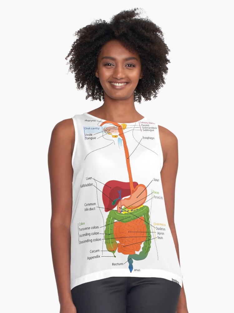 "Digestive System Diagram " Sticker for Sale by Weird-Artss | Redbubble