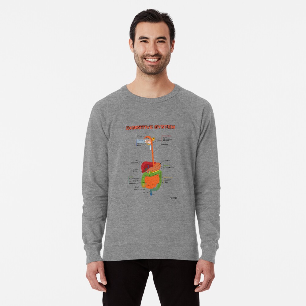 "Digestive System Diagram " Sticker for Sale by Weird-Artss | Redbubble