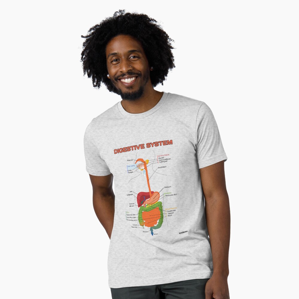"Digestive System Diagram " Sticker for Sale by Weird-Artss | Redbubble