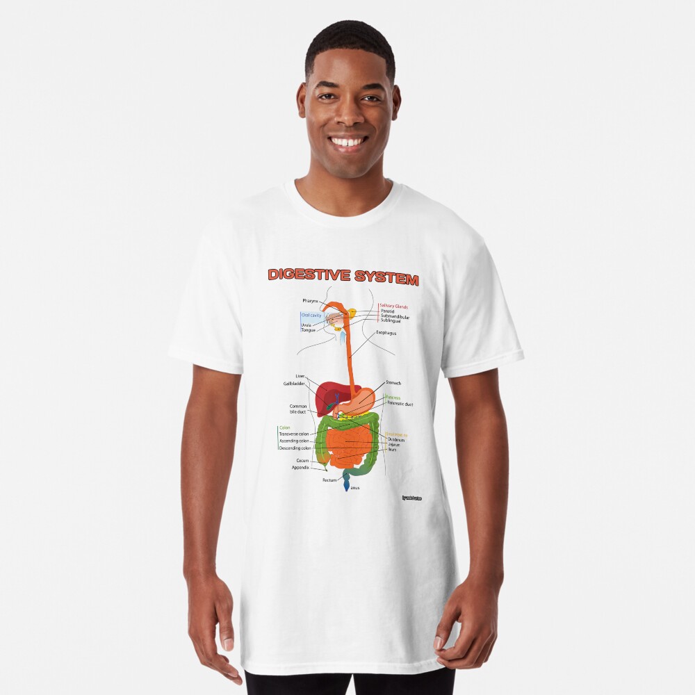 "Digestive System Diagram " Sticker for Sale by Weird-Artss | Redbubble