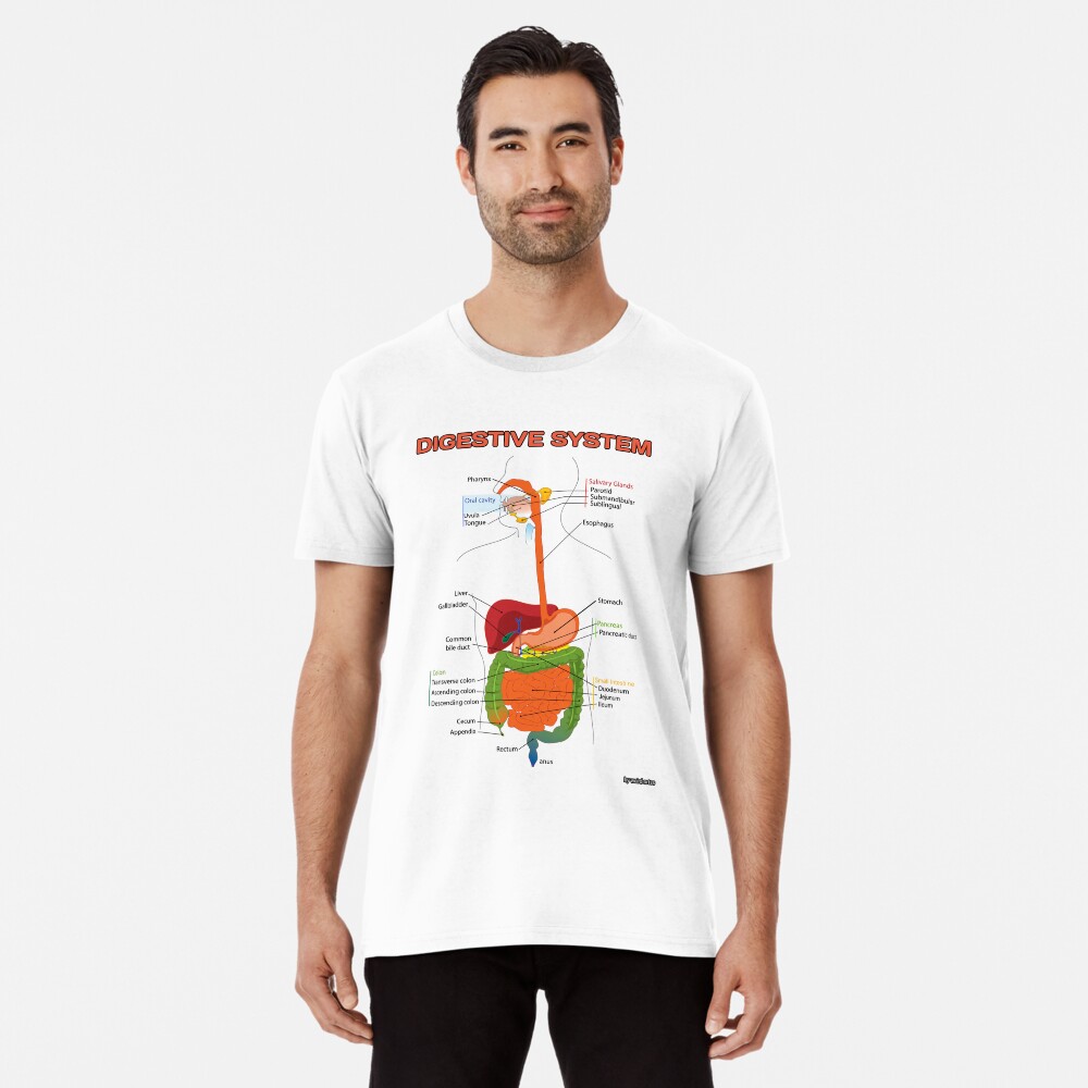 "Digestive System Diagram " Sticker for Sale by Weird-Artss | Redbubble