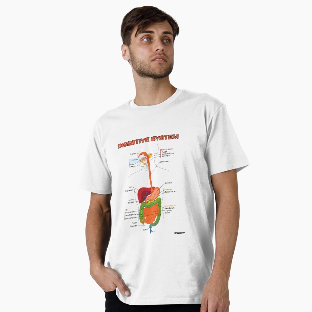 "Digestive System Diagram " Sticker for Sale by Weird-Artss | Redbubble