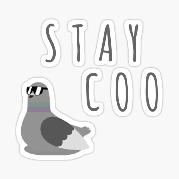 "Stay coo cool " Sticker for Sale by silentmark | Redbubble