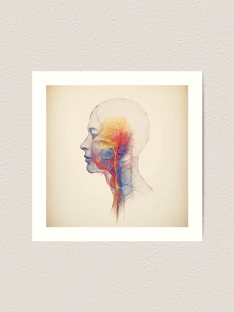 "Minimalistic Anatomy Poster, Human Anatomy Poster, Anatomy Poster ...