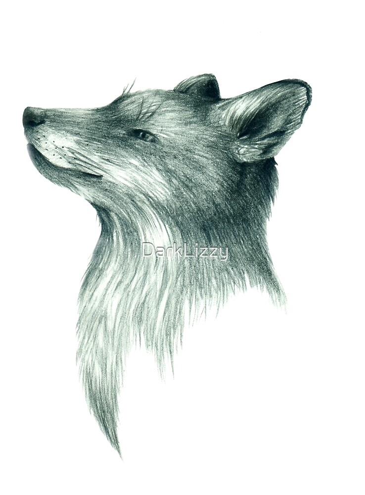"Fox pencil drawing" by DarkLizzy | Redbubble