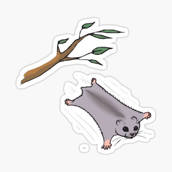 "flying squirrel jumping sticker" Sticker for Sale by jam200 | Redbubble