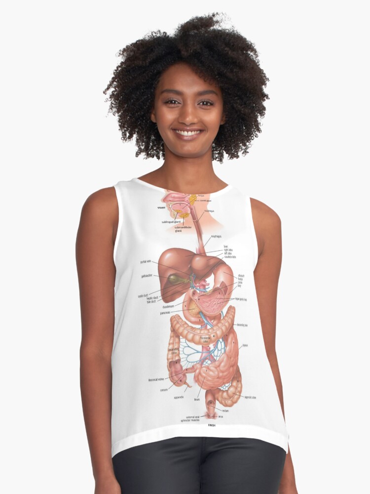 "Digestive System Diagram " Sticker for Sale by Weird-Artss | Redbubble
