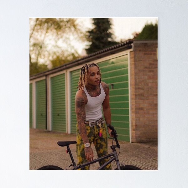 Poster avec l'œuvre « Zolabeille Amber Cicatrices Zola Rap FR » de l ...