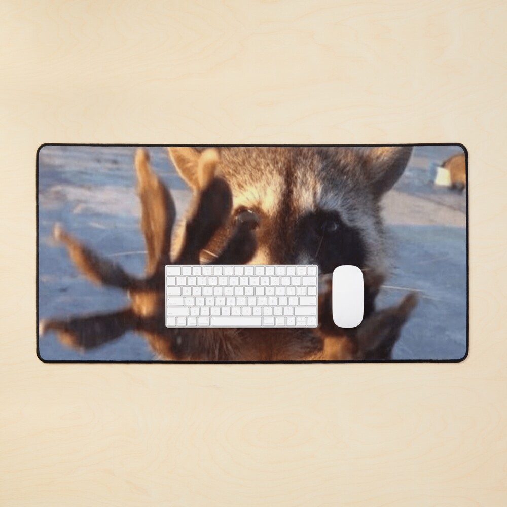 "Silly Raccoon Gonna Touch You " Sticker for Sale by DaveDango | Redbubble