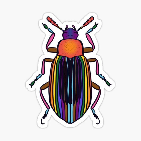 "Pride Beetle" Sticker for Sale by Darkplacestudio | Redbubble
