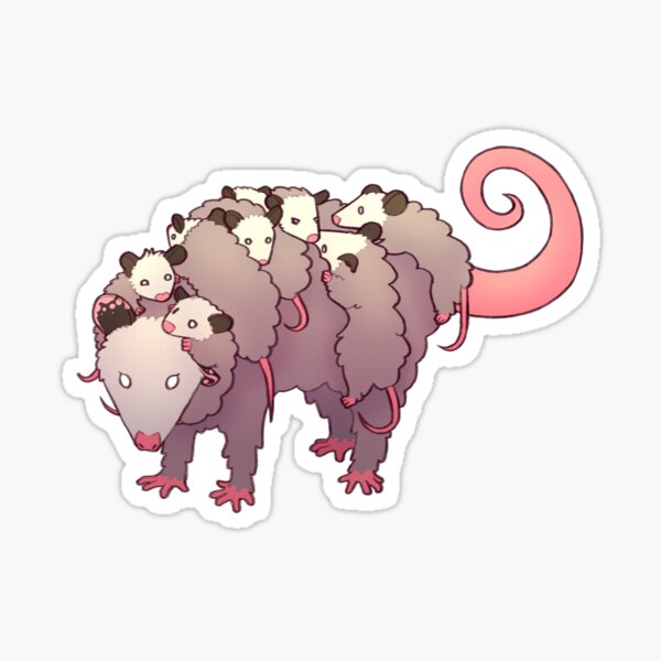 "Opossum Babies Piggyback Ride" Sticker for Sale by ghostcashew | Redbubble